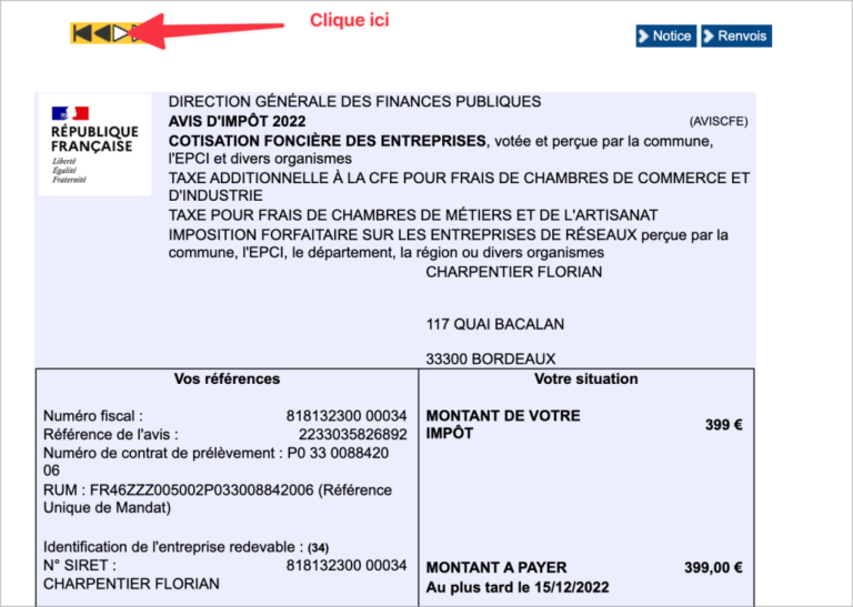 Avis de CFE en micro-entreprise : ce qu'il faut savoir